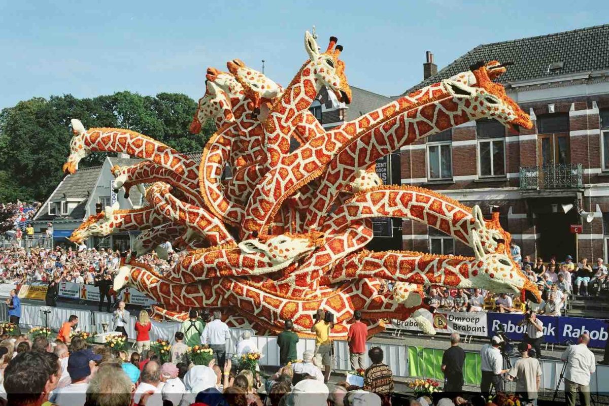 Corsocultuur op UNESCO-lijst Immaterieel Erfgoed - GroenVandaag