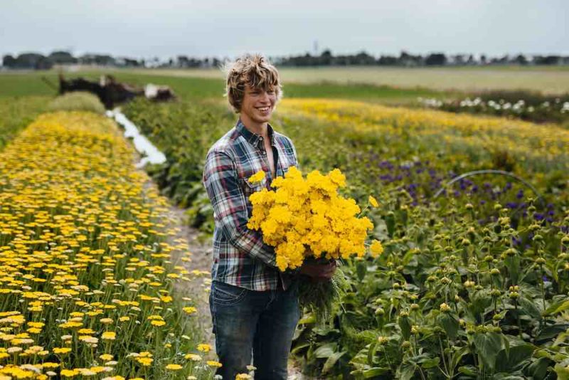 Bio-bos, een boeket van 100% biologische bloemen - GroenVandaag