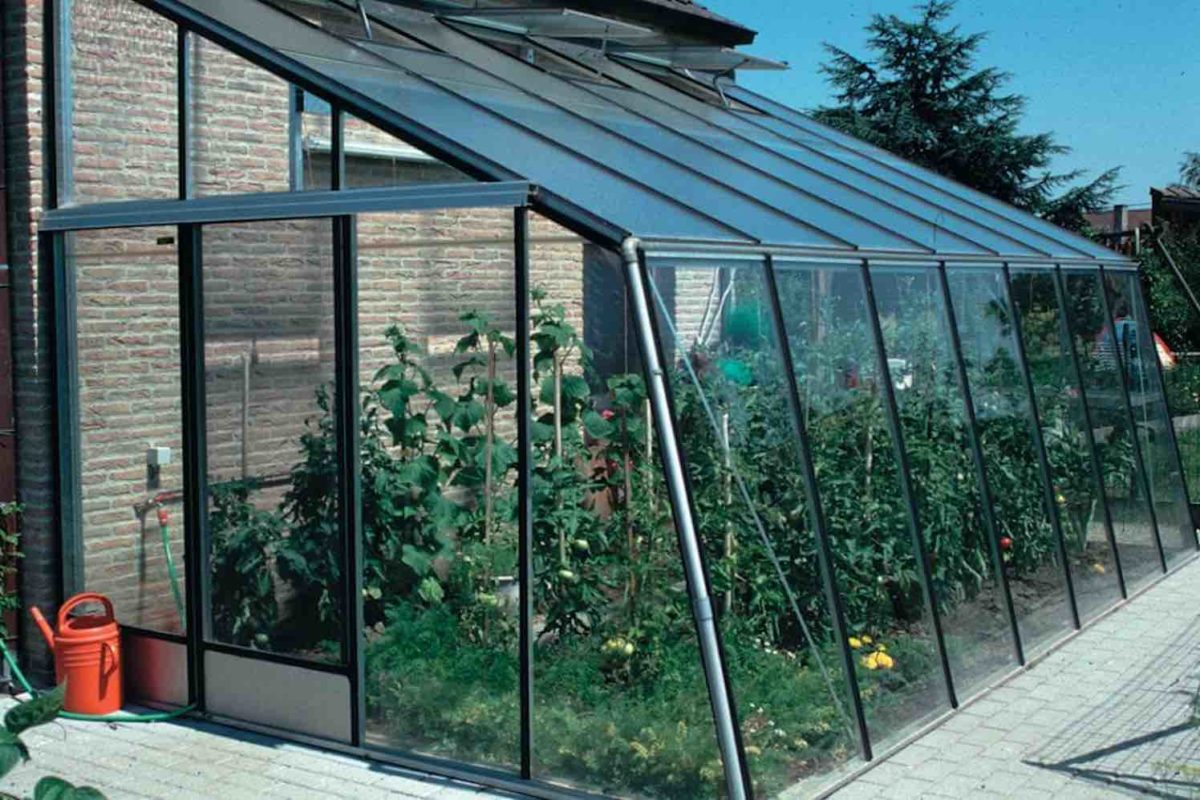 Een compacte muurkas: 7 voordelen - GroenVandaag