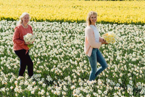 Exclusieve tulpen en narcissen - GroenVandaag Exclusieve tulpen en narcissen - GroenVandaag