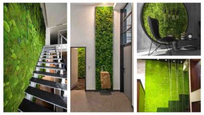 Groene muur in huis: maak je eigen moswand - GroenVandaag