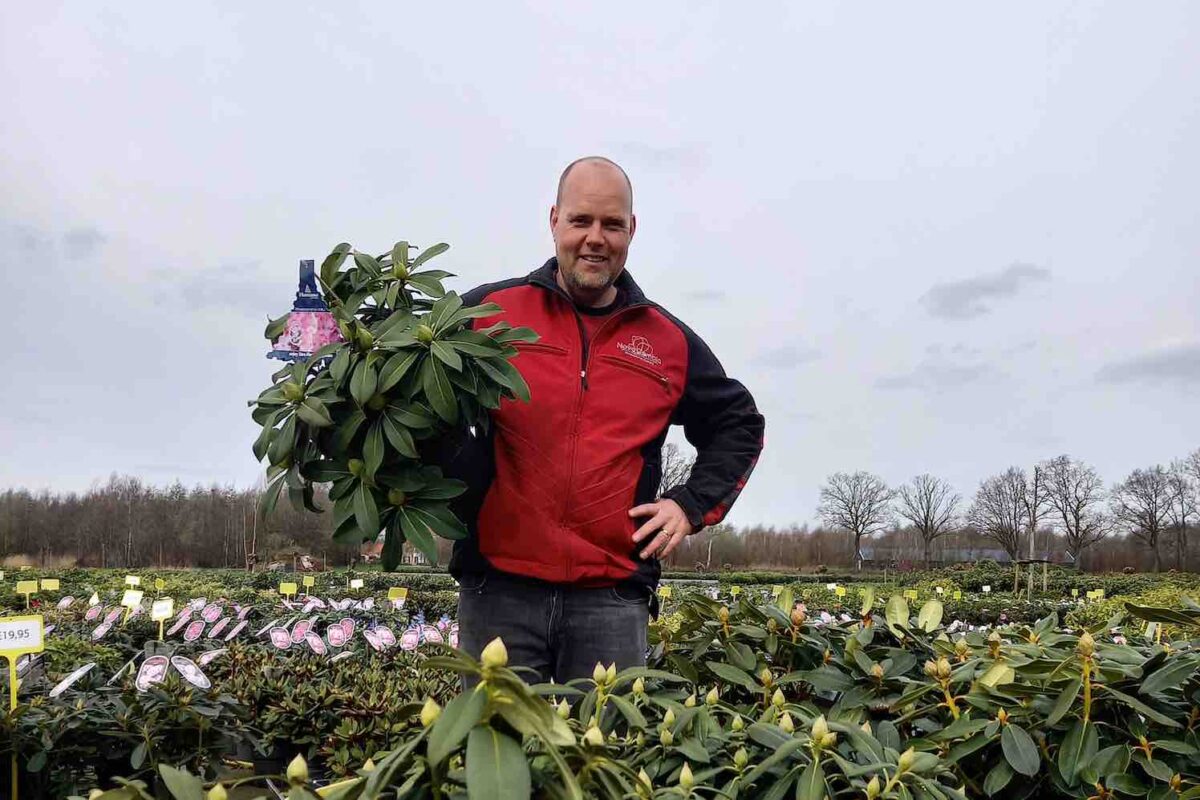 Help, er zitten beestjes op mijn rhododendron! - GroenVandaag
